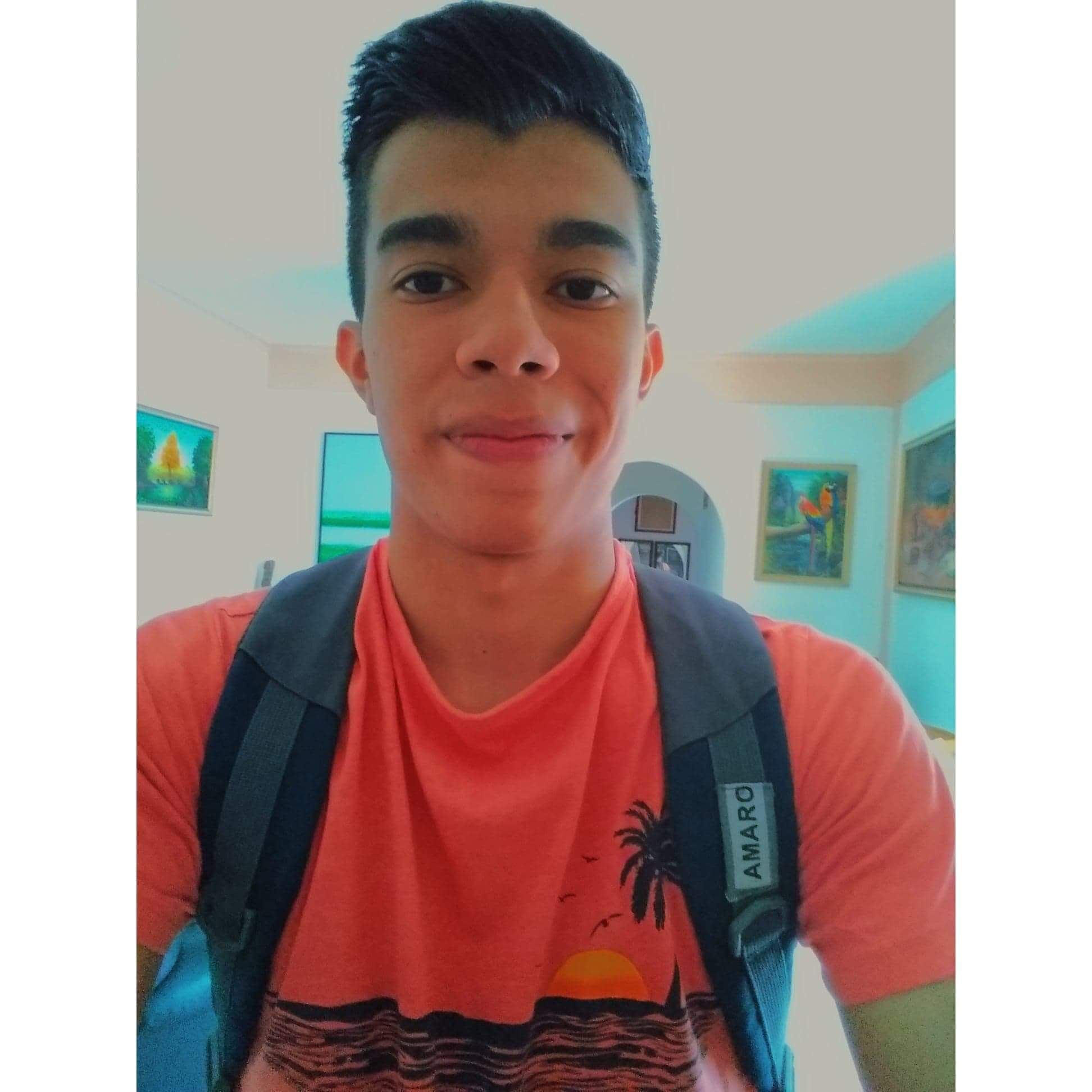 Bryan Silva - Portfolio